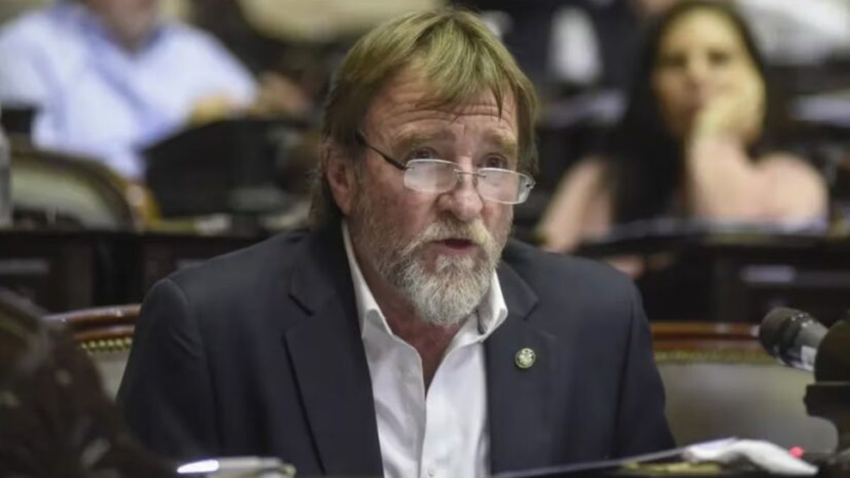 Jorge Rizzotti dijo que hubo intereses detrás de la votación de la Ley ...