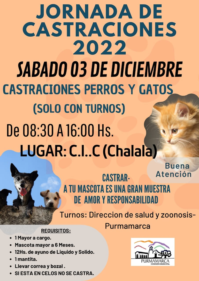 Purmamarca: jornada de castraciones de perros y gatos