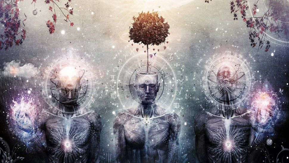 Inteligencia y sabiduría: 5 diferencias que te gustará conocer