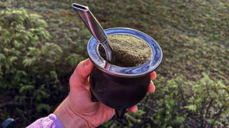 Té, café o mate; los beneficios de cada una de estas infusiones