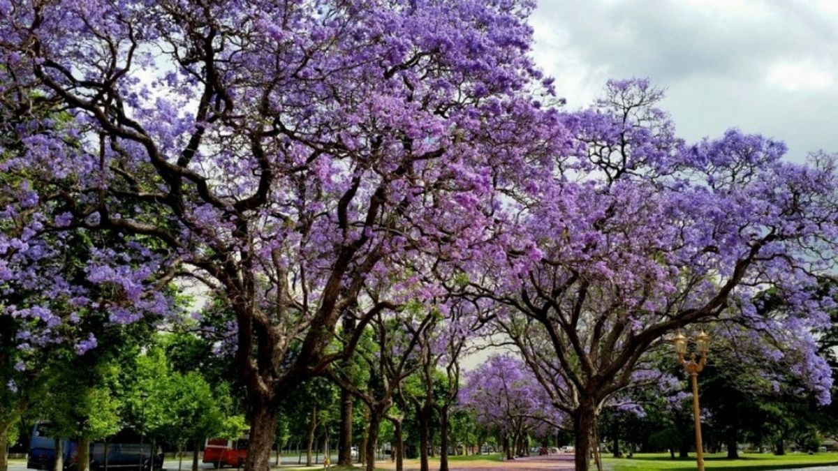 ¿Cuándo llega la primavera y el equinoccio?