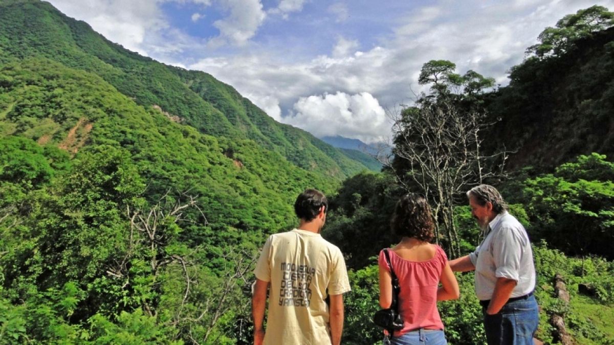 “Ecoturismo y atractivos de las Yungas”
