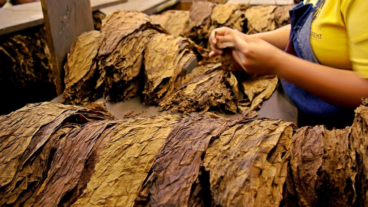 La Justicia ordenó al Señor Tabaco a pagar el impuesto al cigarrillo