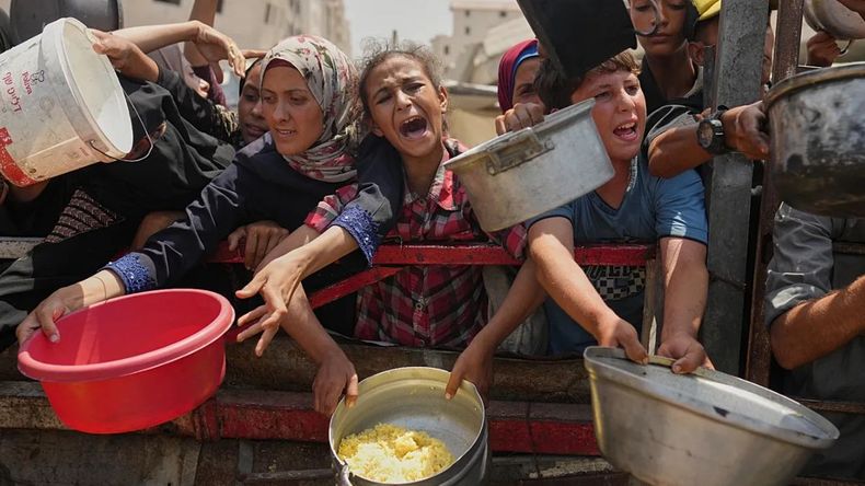 La ONU declaró la hambruna en Gaza y hay más de 100 niños muertos por ...