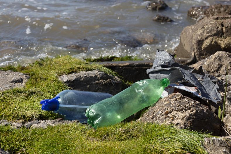 ¿Por qué es malo tomar agua en botella? Esto dicen los científicos