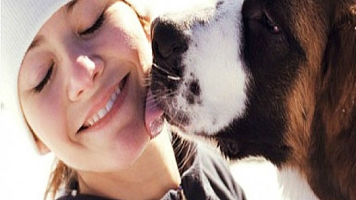 ¿Los besos de los perros son buenos para la salud?