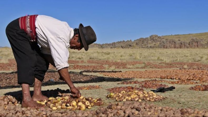 El secreto milenario de los Andes que desafía al tiempo y al clima