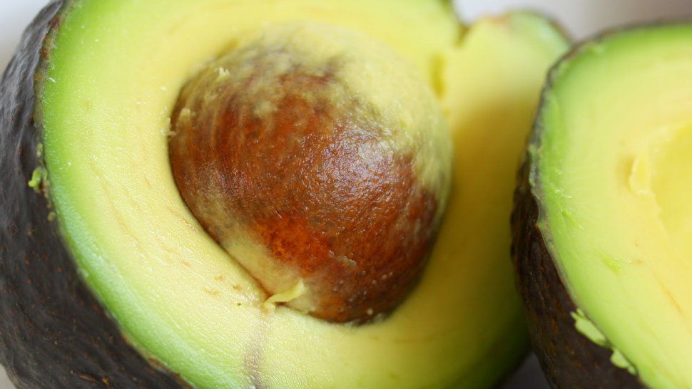 La palta es mucho más que guacamole. ¿Sos de comer esta fruta en esta ...