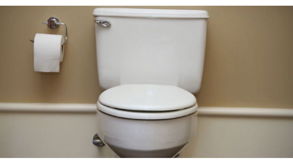 Día Mundial del Inodoro