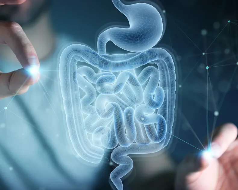 Esta es la vitamina clave para el buen funcionamiento intestinal, según ...