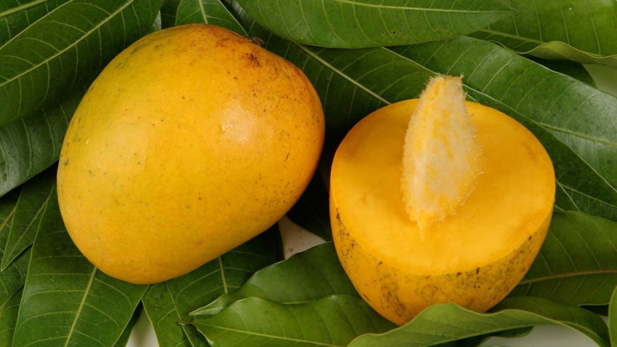 Los beneficios del mango