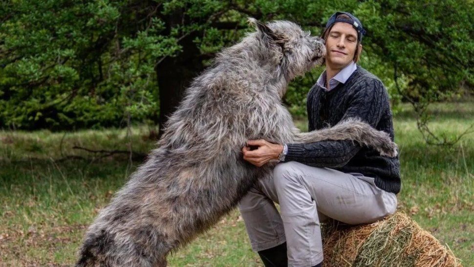 El Perro Gigante De Iván De Pineda Es Furor En Redes