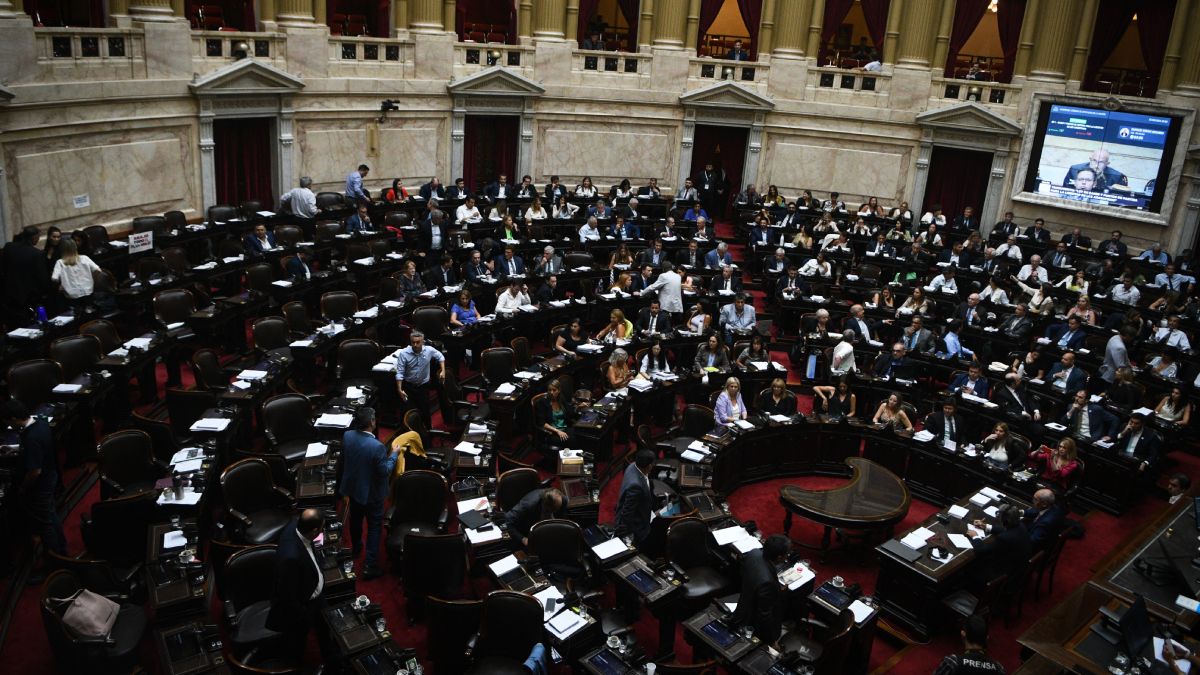 Ley Bases: vuelve a tratarse hoy en el Congreso Nacional ¿Cuáles son ...