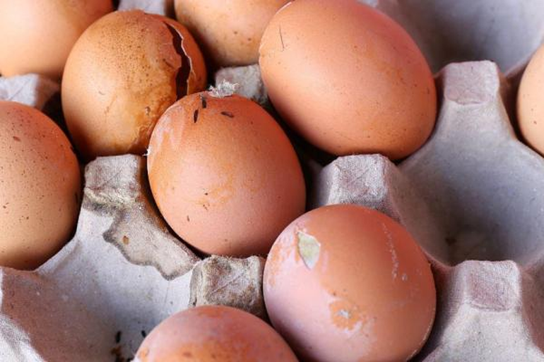 ¿Cómo identificar un huevo podrido y así evitar comerlo?