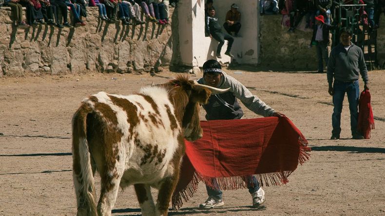 Hoy será el Toreo de la Vincha en Casabindo: cómo llegar, horarios y ...