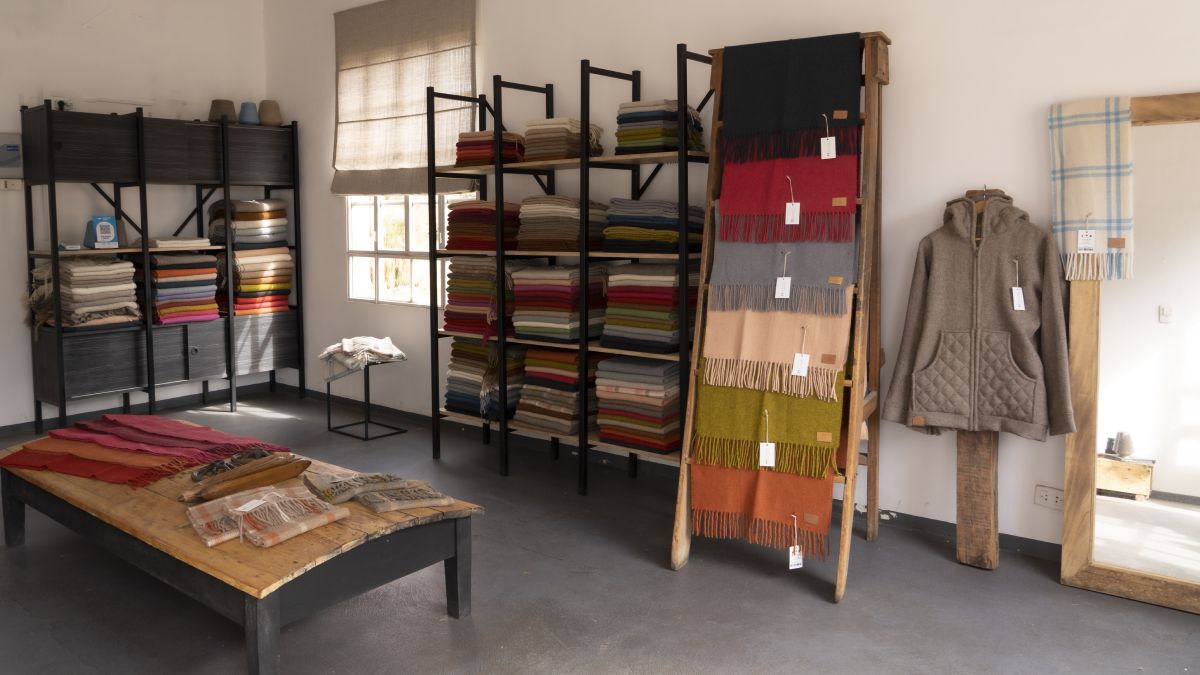 Visitas guiadas: descubrí el mundo detrás de las prendas de Hilandería ...