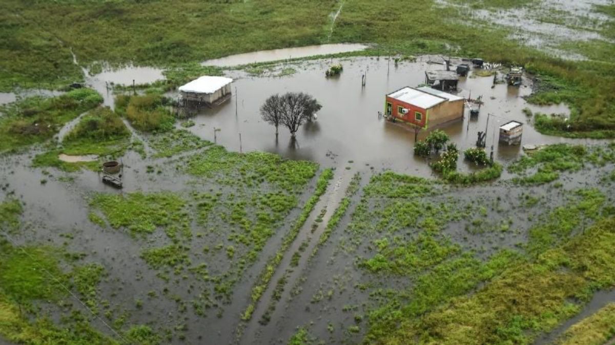 La crecida del río Bermejo deja familias aisladas y viviendas inundadas ...