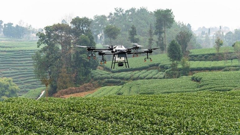 Desarrollaron un drone que detecta zonas sin vegetación