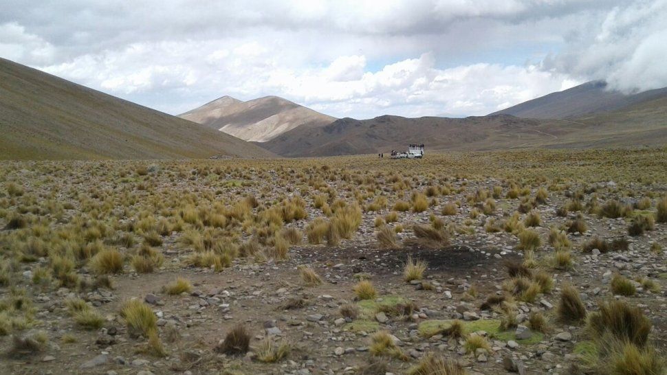 Chaccu en la Puna, una técnica milenaria que se transmite por generaciones