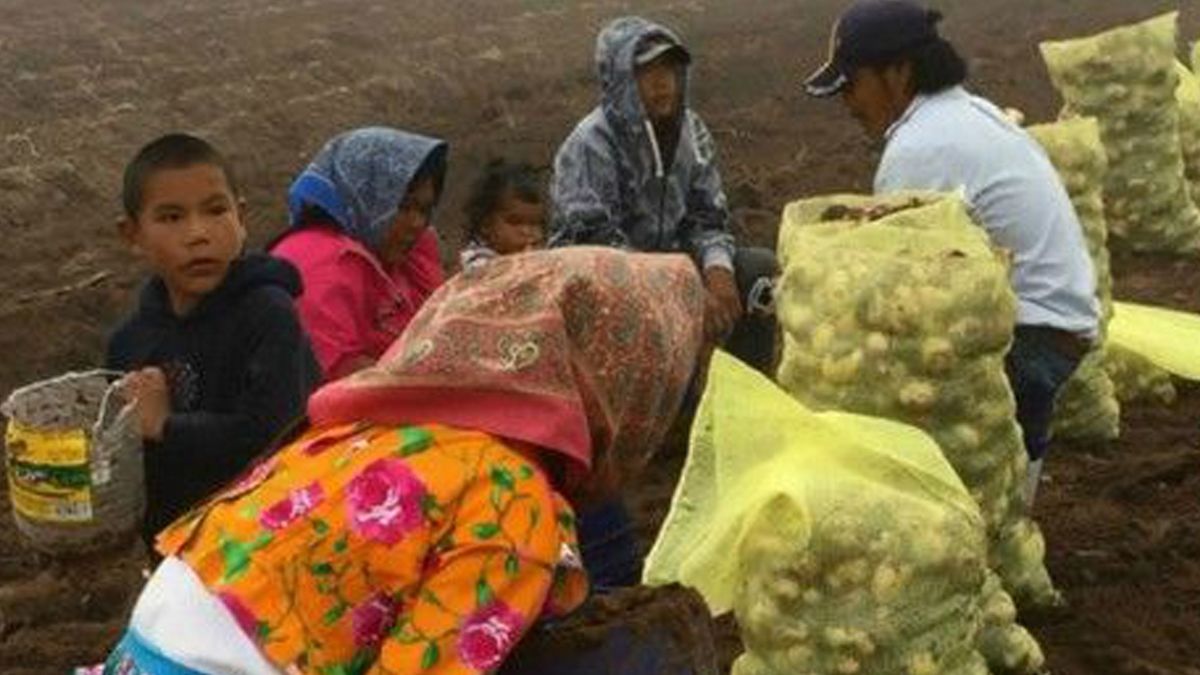 El trabajo inhumano que avergüenza a México