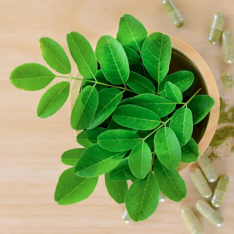 Qué es la moringa: para qué sirve, beneficios, y efectos