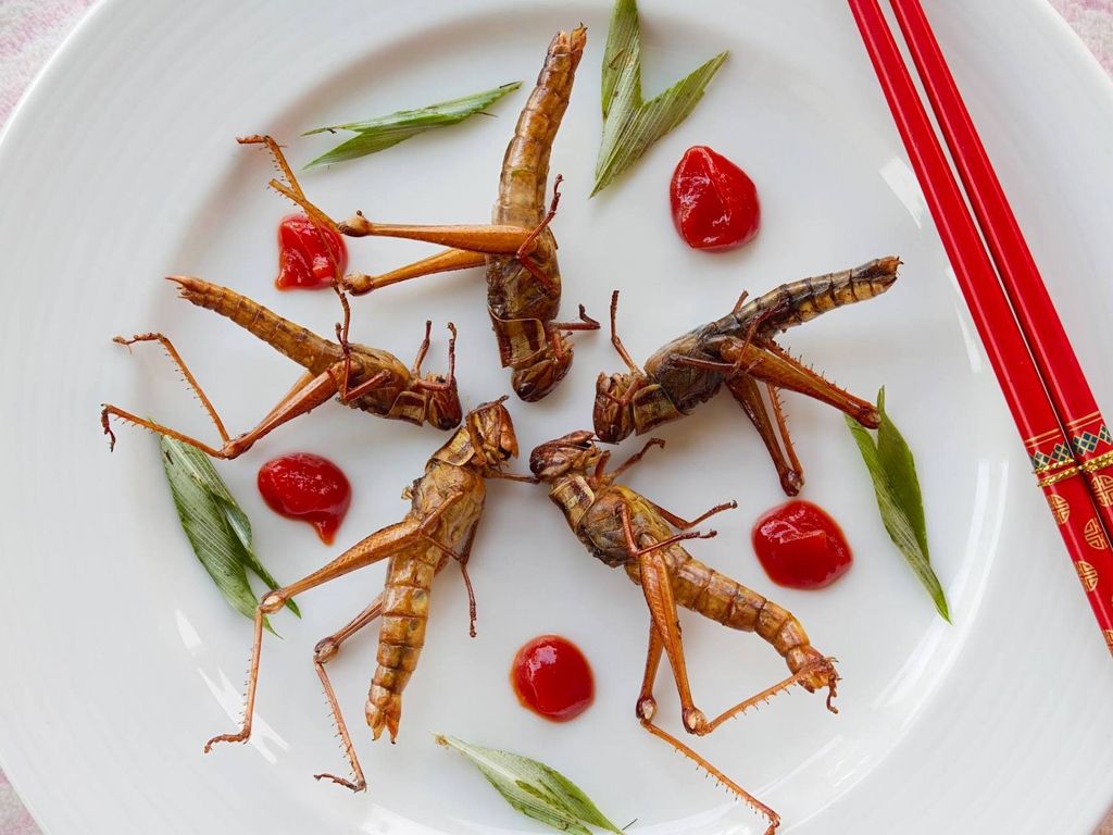 Insectos: clave en una dieta para deportistas