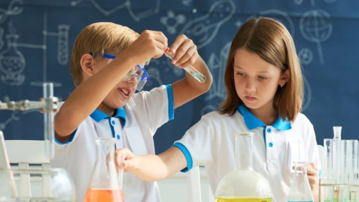 Taller gratuito para mini científicos de 6 a 8 años