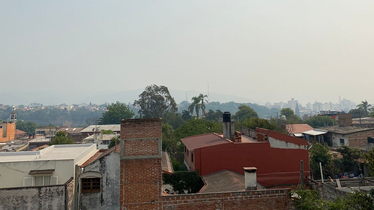 Incendios forestales: cómo afecta el humo en la salud