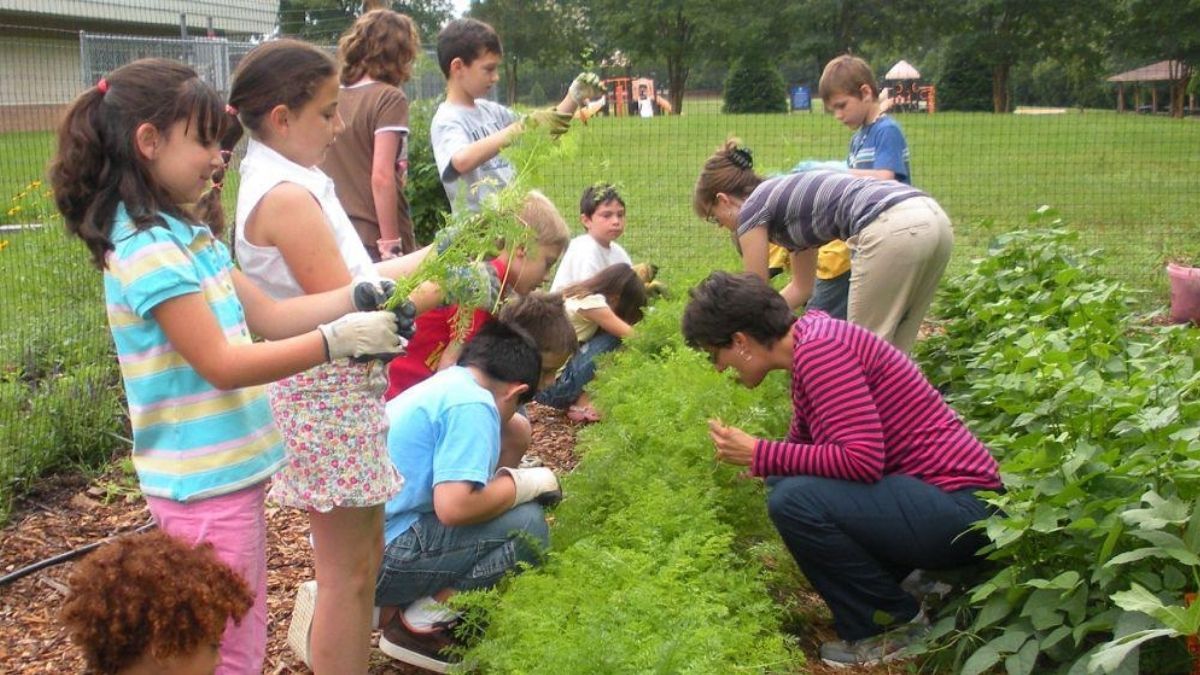 Enseñarán educación ambiental en todas las escuelas