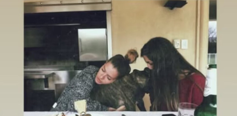 Murió el perrito de La China Suárez: borró su Instagram y dejó un ...