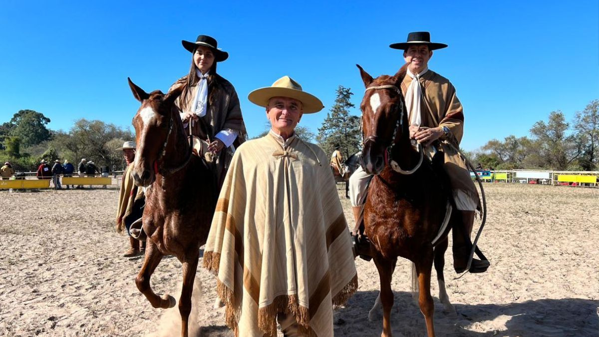 Caballos peruanos: primera gran jornada de exhibición