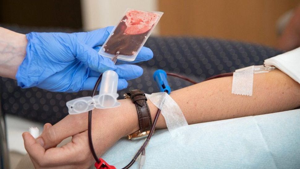 Reino Unido: hicieron la primera transfusión con sangre creada en un ...