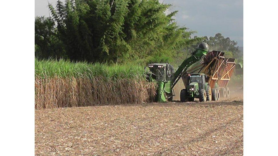El precio del azúcar cubre el 53% del costo de producción