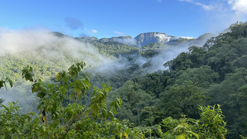 Los increíbles tesoros ocultos en las Yungas de Jujuy