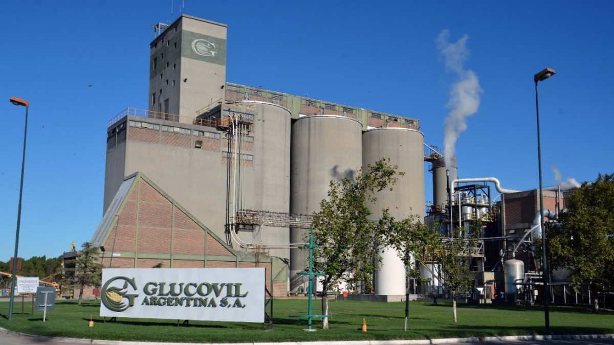 La empresa Ledesma refuerza inversiones en Jujuy con su salida de Glucovil