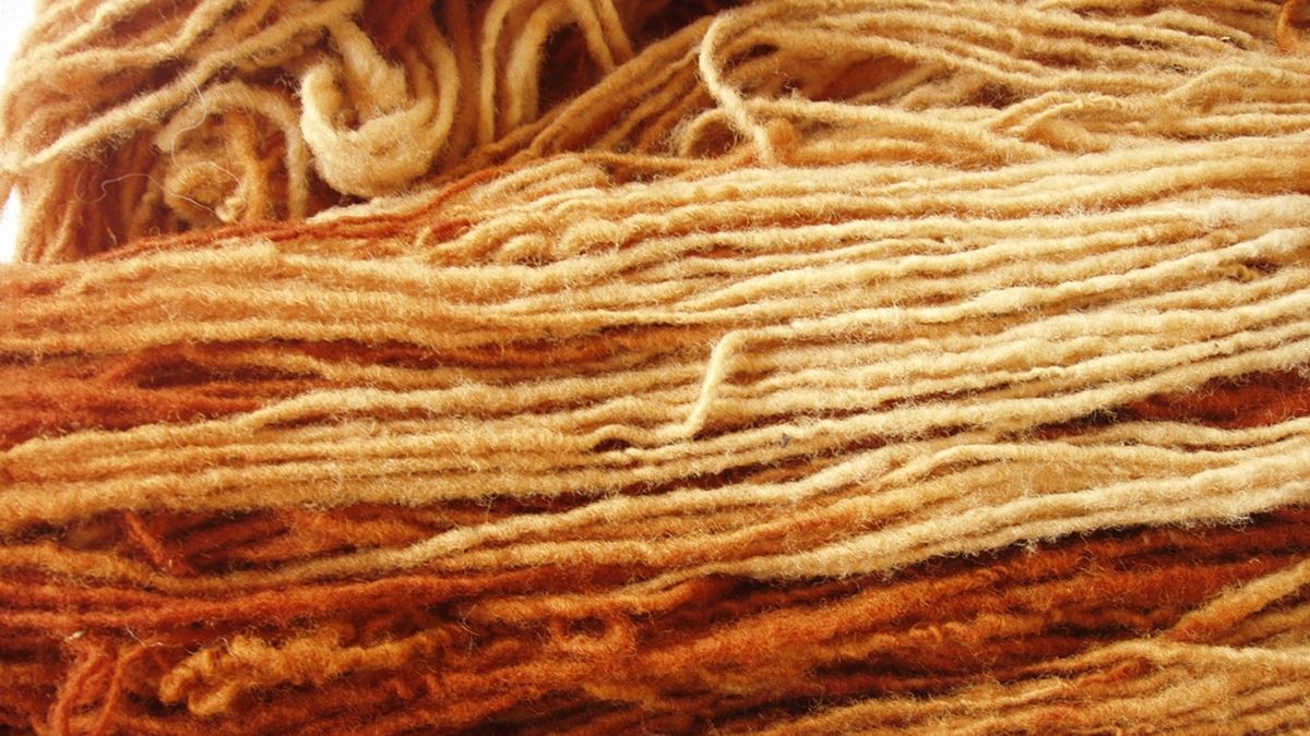 Presentarán “Fibras Naturales Argentinas en Mercados Globales”