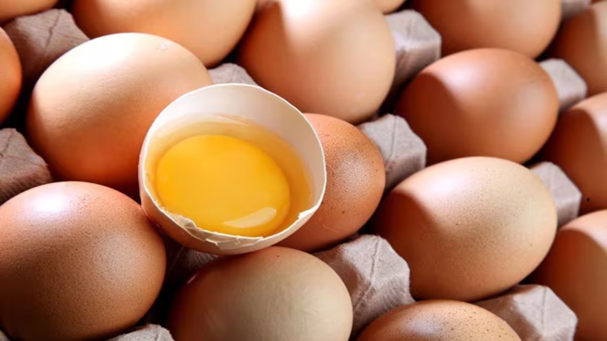 ¿Cómo identificar un huevo podrido y así evitar comerlo?