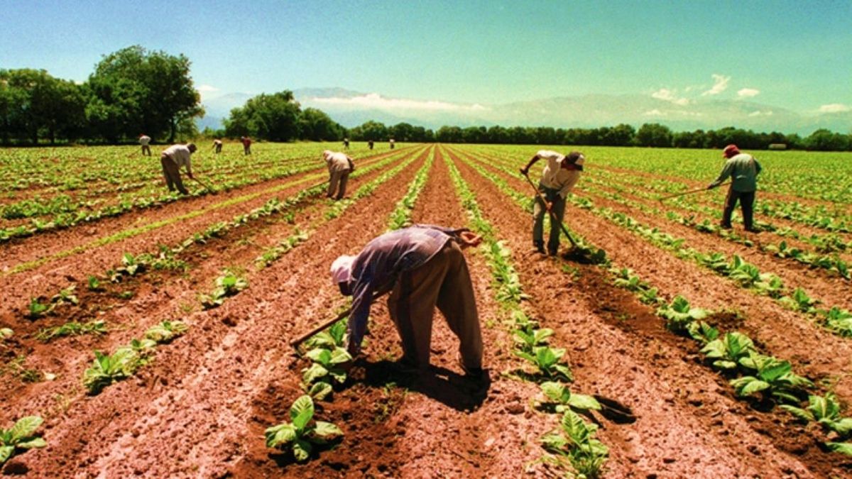 ¿Por qué se celebra el Día del Trabajador Rural argentino?