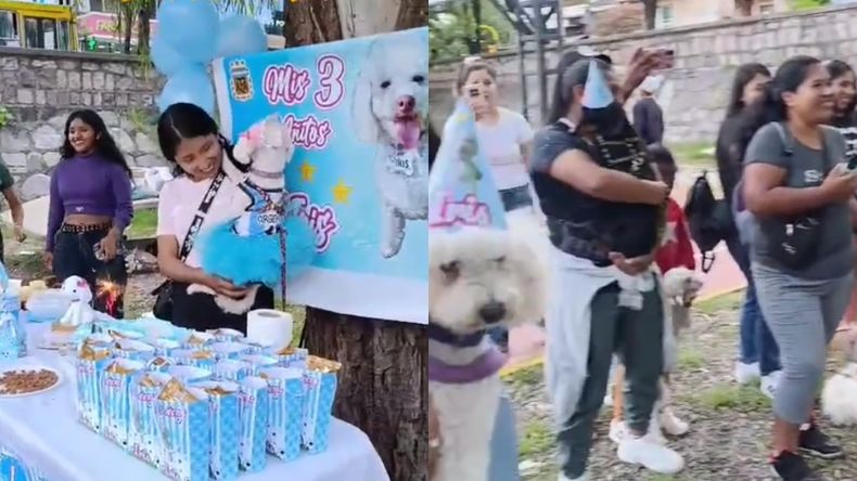 Un cumpleaños perruno en el parque Xibi Xibi se volvió viral