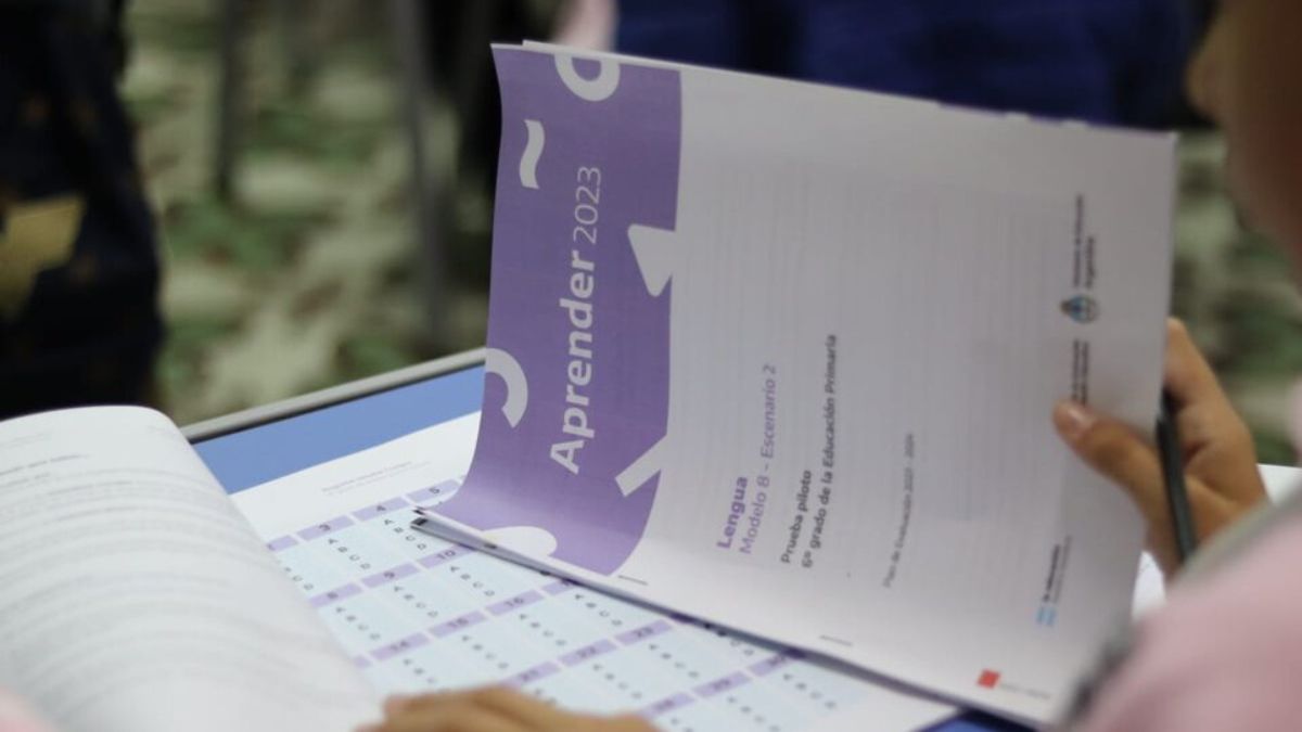 Prueba Aprender: bajo nivel de los niños en matemática